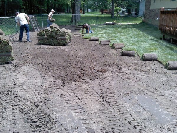 How to Lay Sod | Lawn Care | Diy Sod Installation