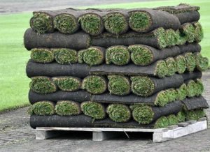 Kentucky Bluegrass Sod - Hillcrest Sod Farm